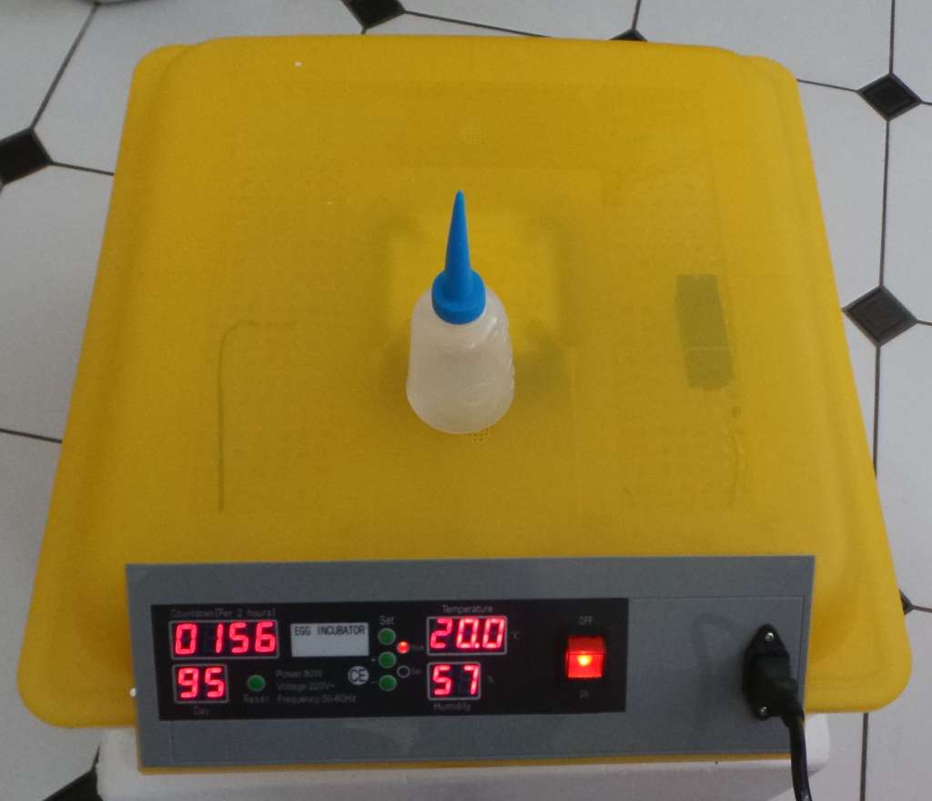 Automatic 48 Egg Incubator for Chicken and Poultry – Dawn till Dusk Doors